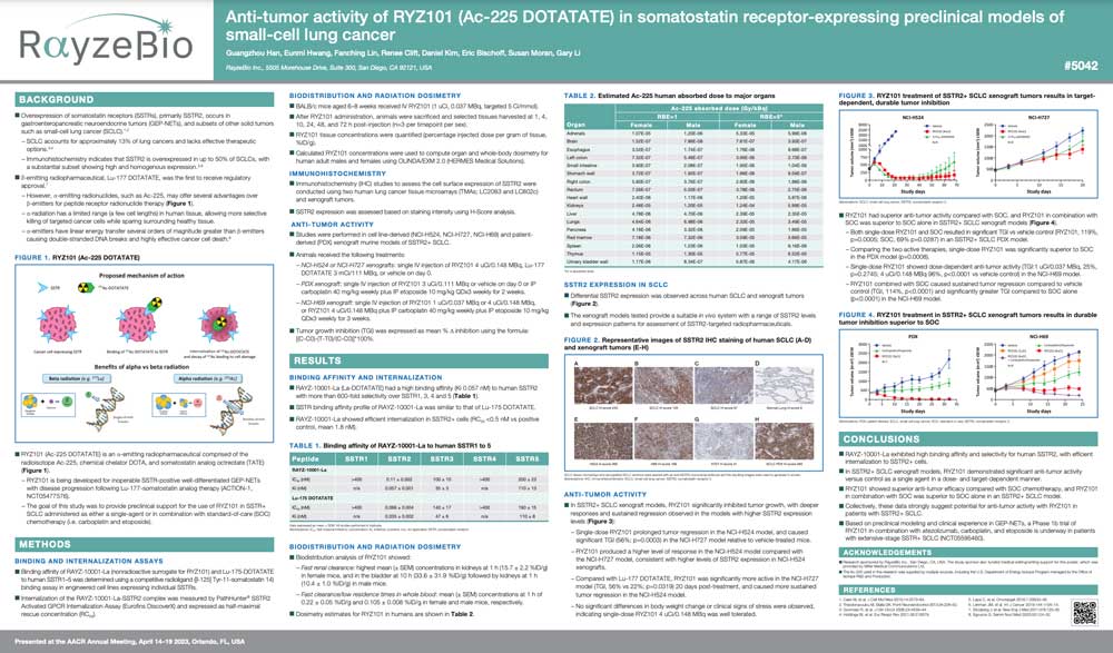 Anti-tumor activity of RYZ101 (Ac-225 DOTATATE) in somatostatin receptor-expressing preclinical ...