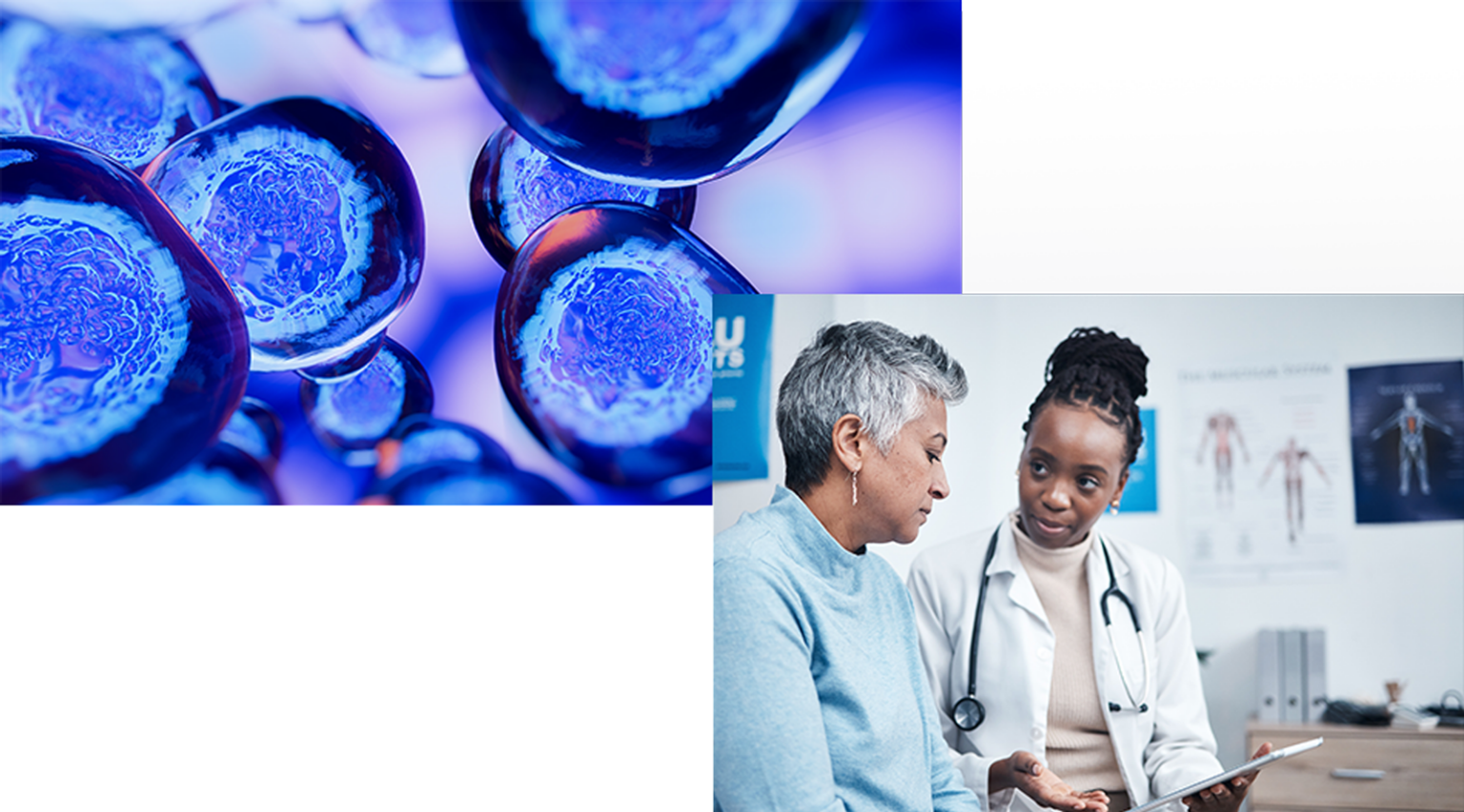 Front Page - RayzeBio