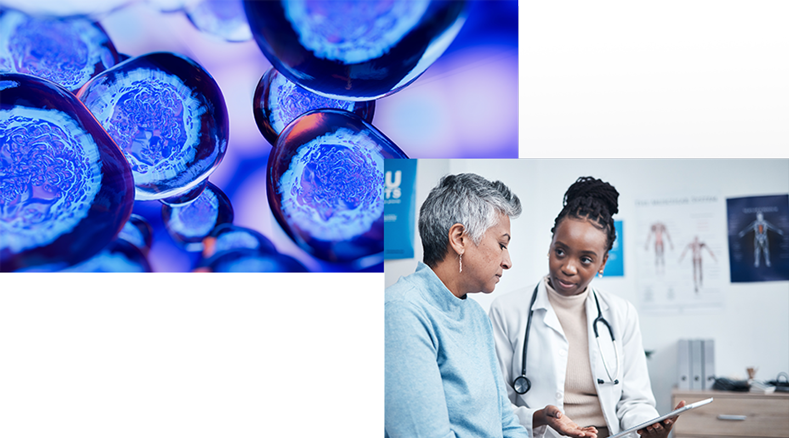 Front Page - RayzeBio